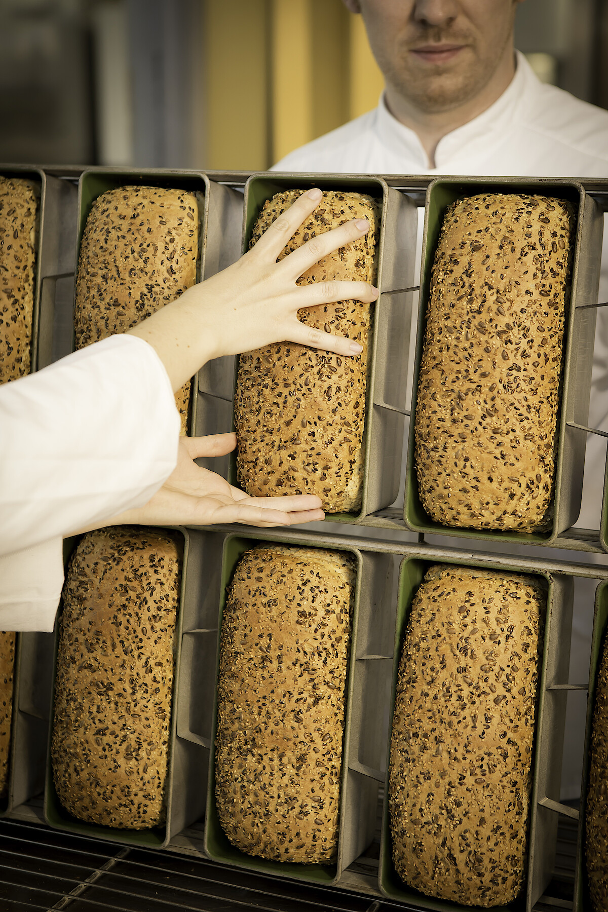 Clean Label Products | Mecatherm